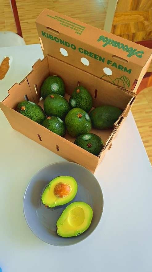 Avocado 2 KG Pack-7 to 12PCS – Tanzanite Choice